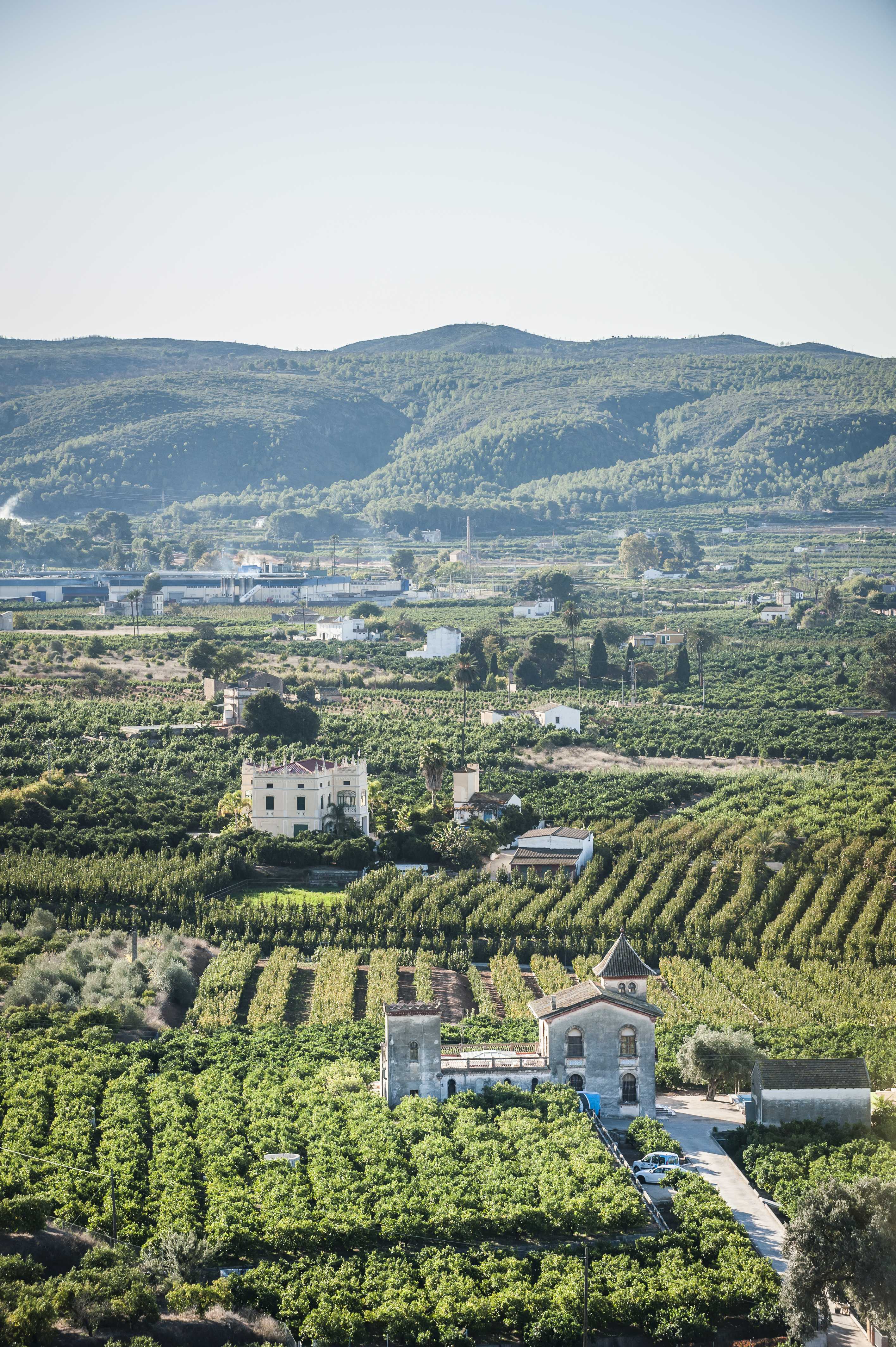 Anell Verd D'alzira - Landscape