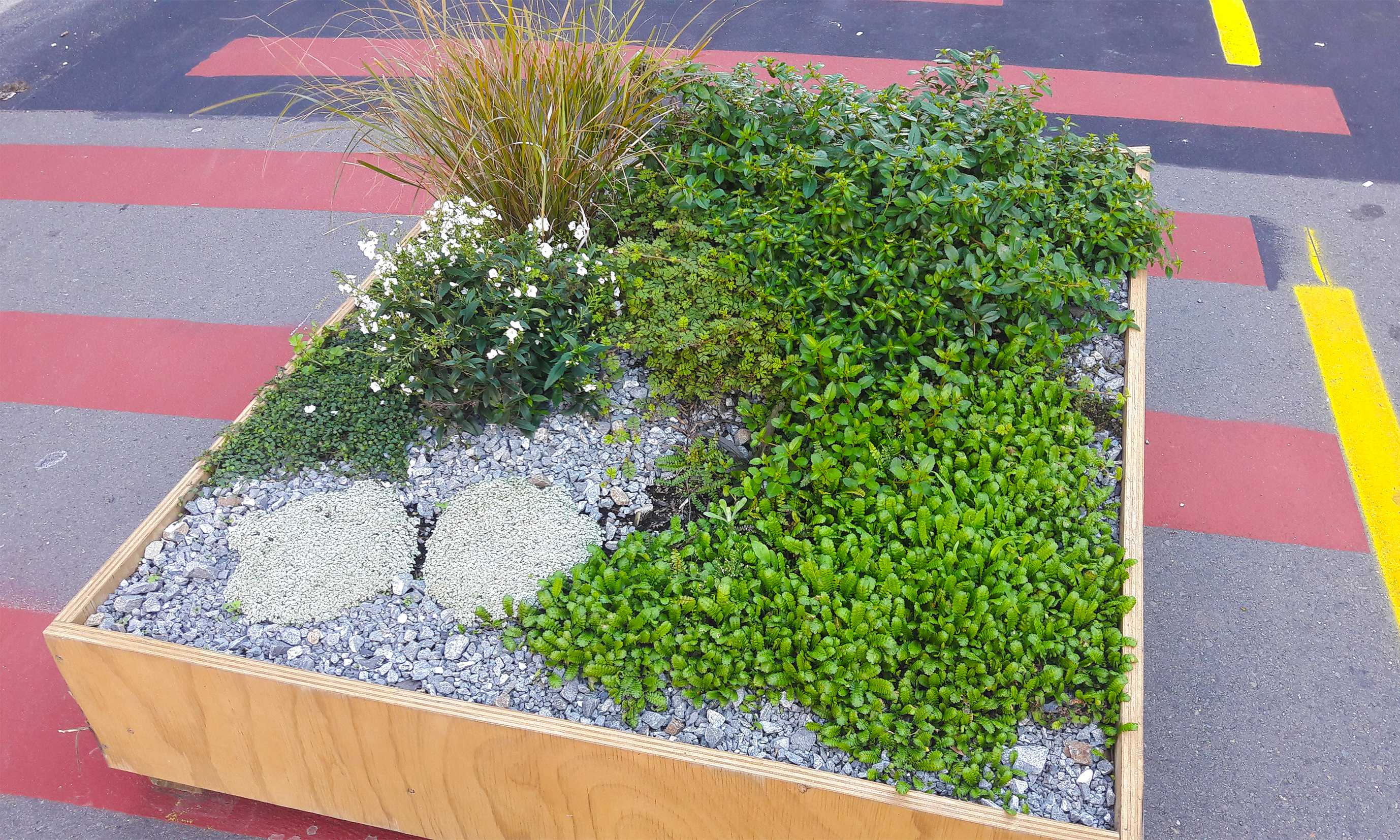 Re-Imagine Tory Street - Landscape
