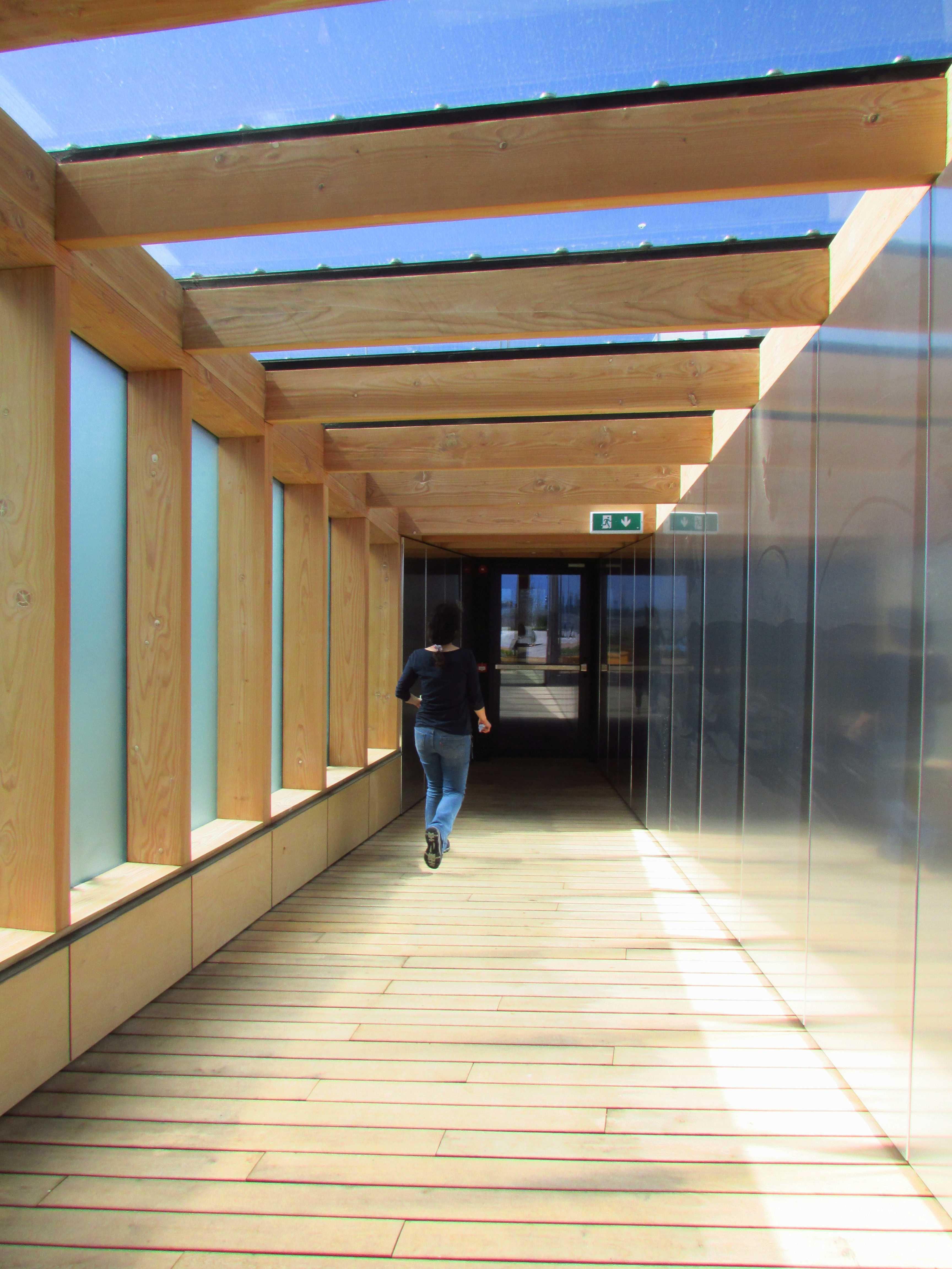 Kings Building Roof Garden & Pavilion - Landscape
