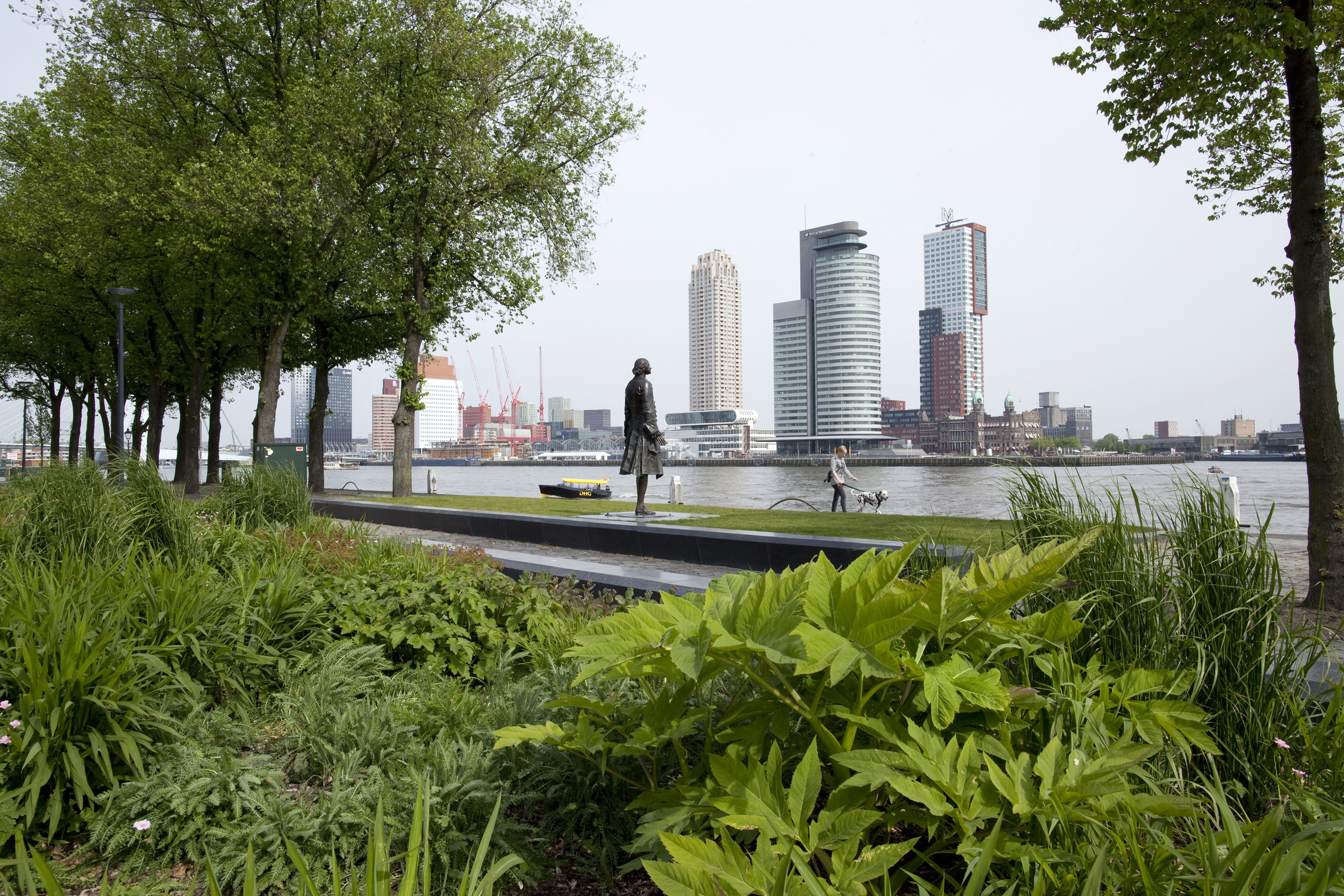 Waterfront Rotterdam - Landscape