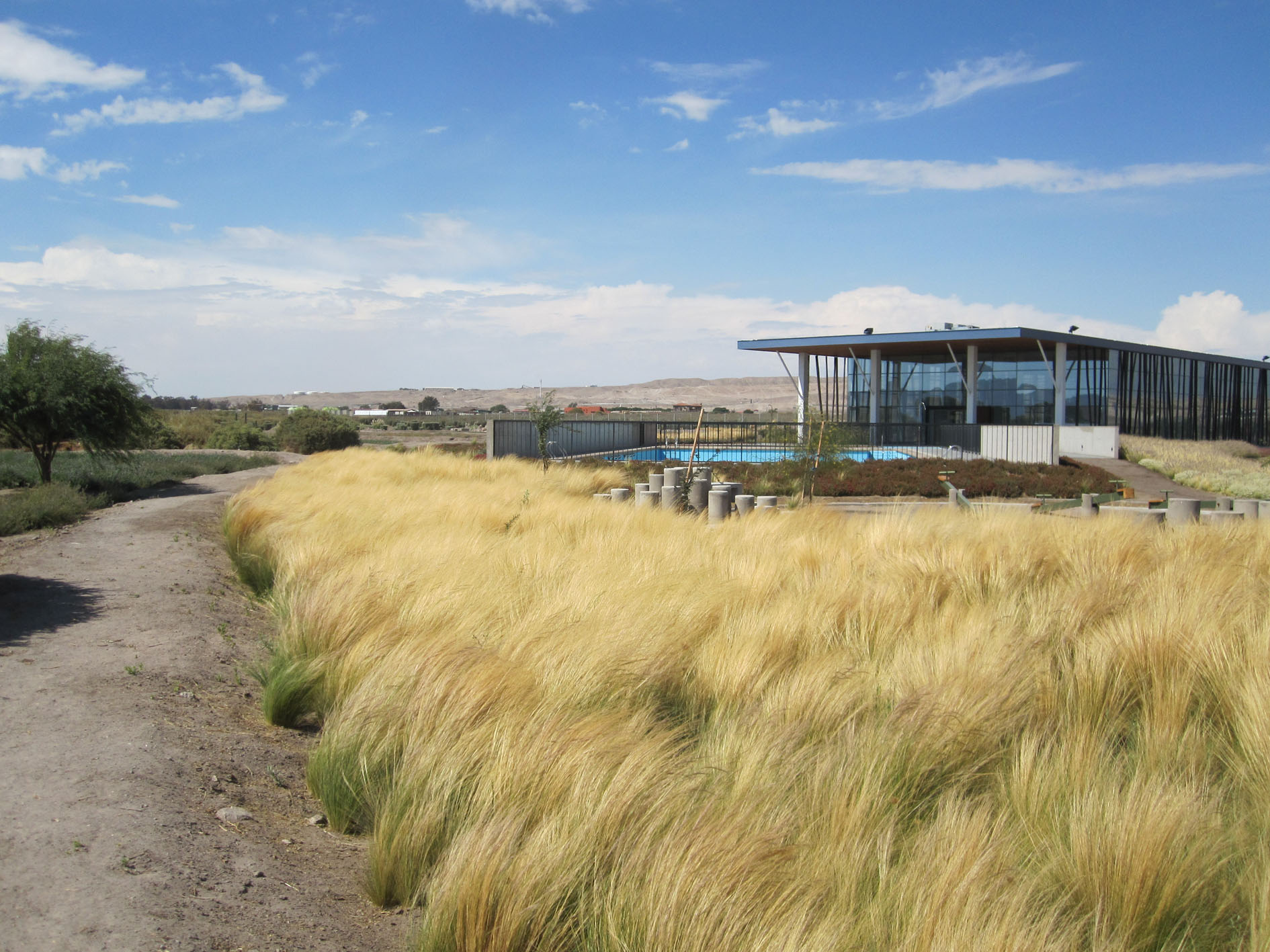 Centro De Deportes Codelco - Calama - Landscape