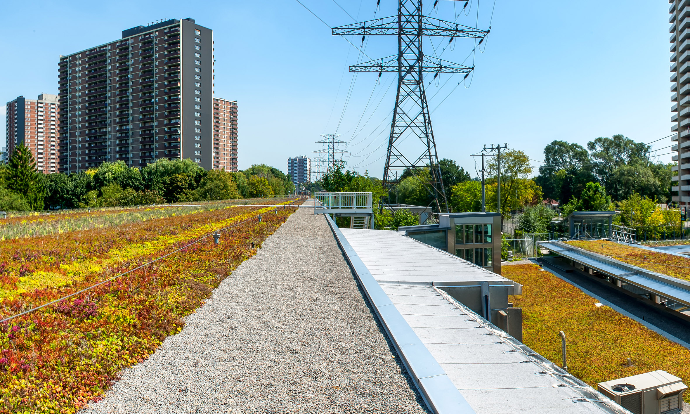 Victoria Park Subway Station - Green Roof And Landscape - Landscape