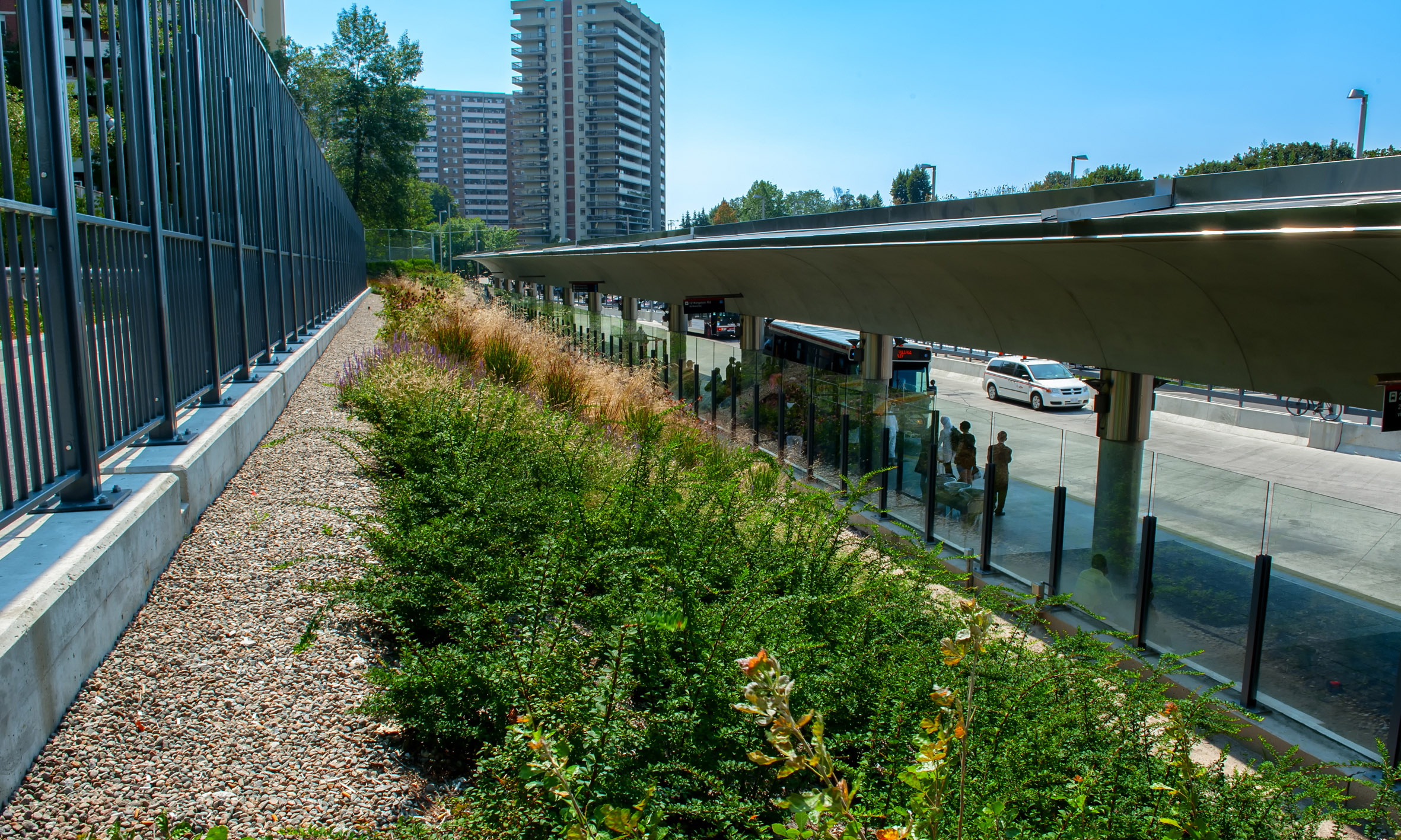 Victoria Park Subway Station - Green Roof And Landscape - Landscape