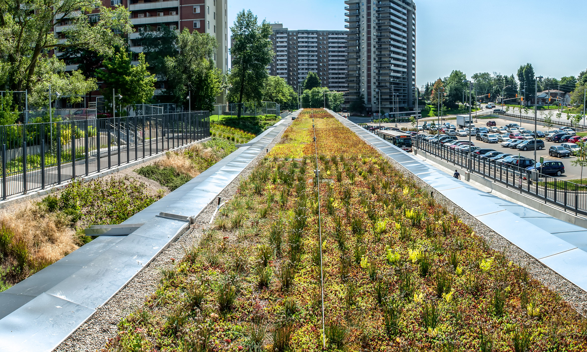 Victoria Park Subway Station - Green Roof And Landscape - Landscape