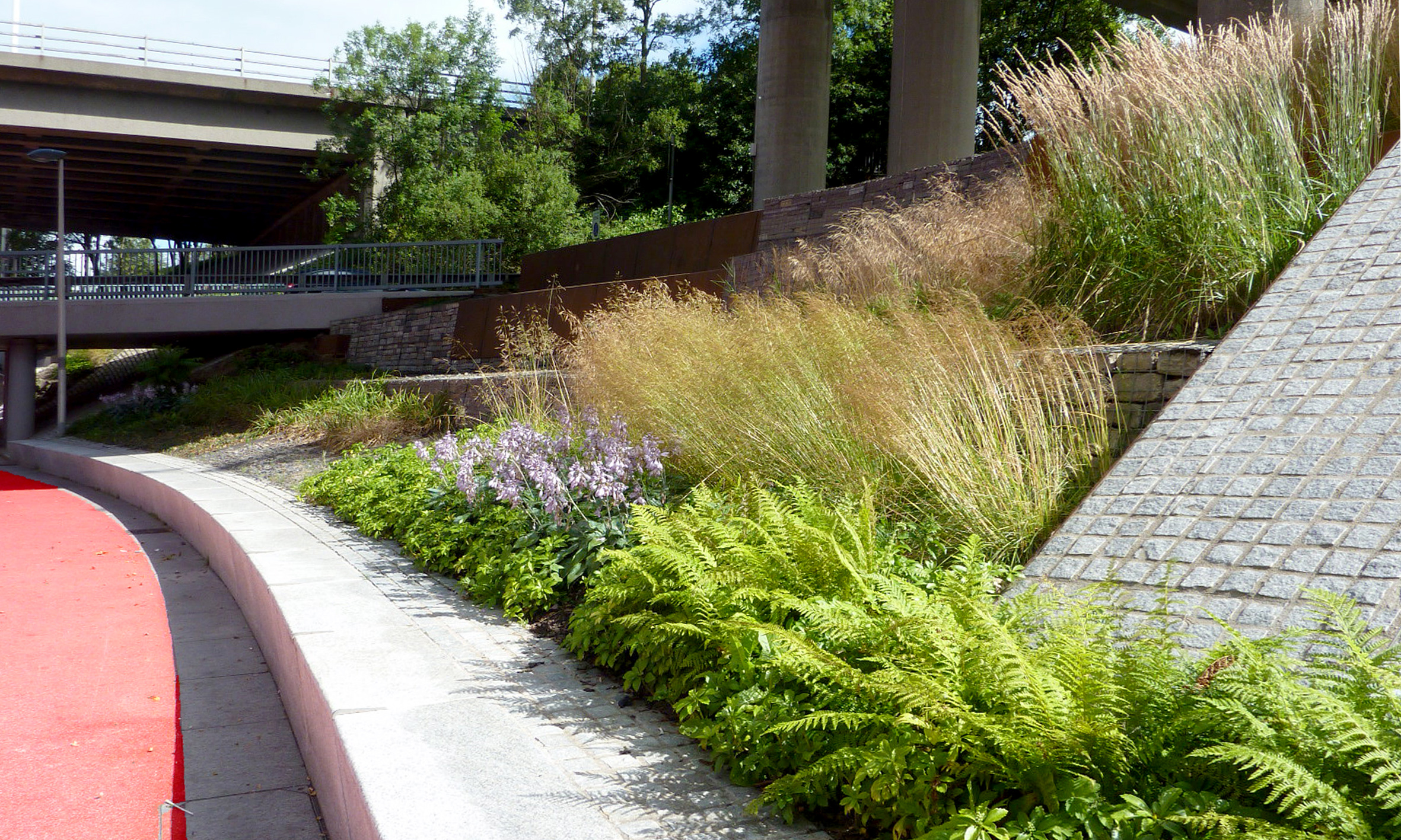 Garscube Landscape Link, The Phoenix Flowers - Landscape