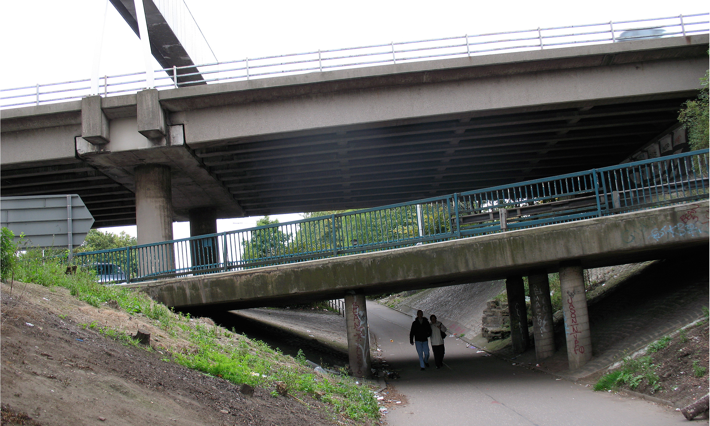 Garscube Landscape Link, The Phoenix Flowers - Landscape