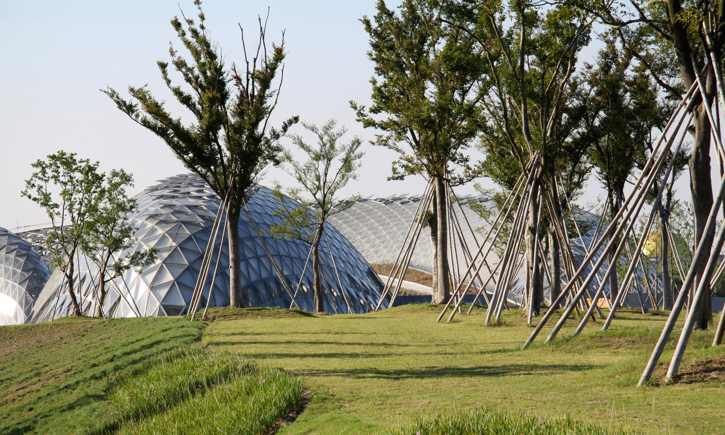Chenshan Botanical Garden Shanghai - Landscape