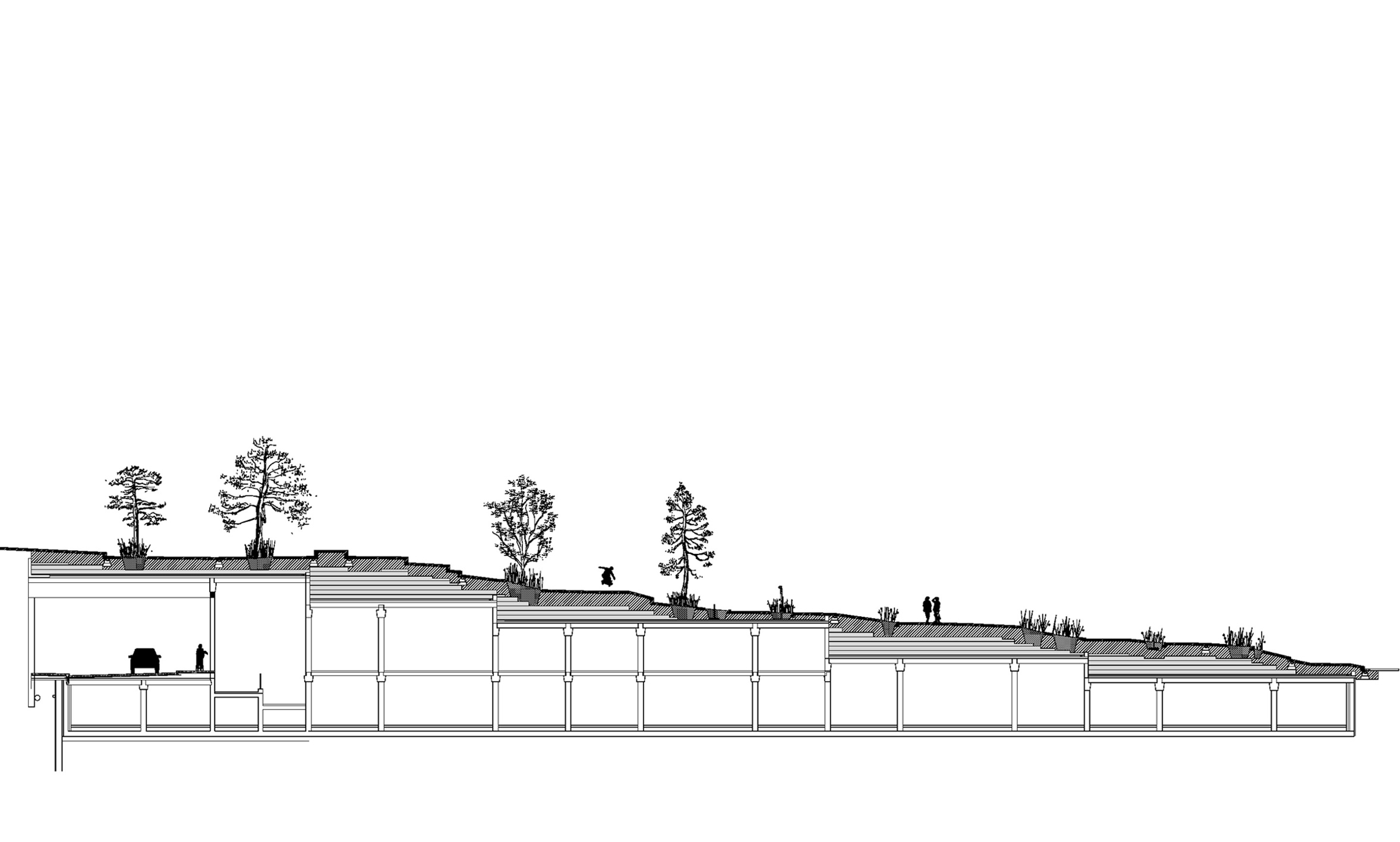 The City Dune - Landscape