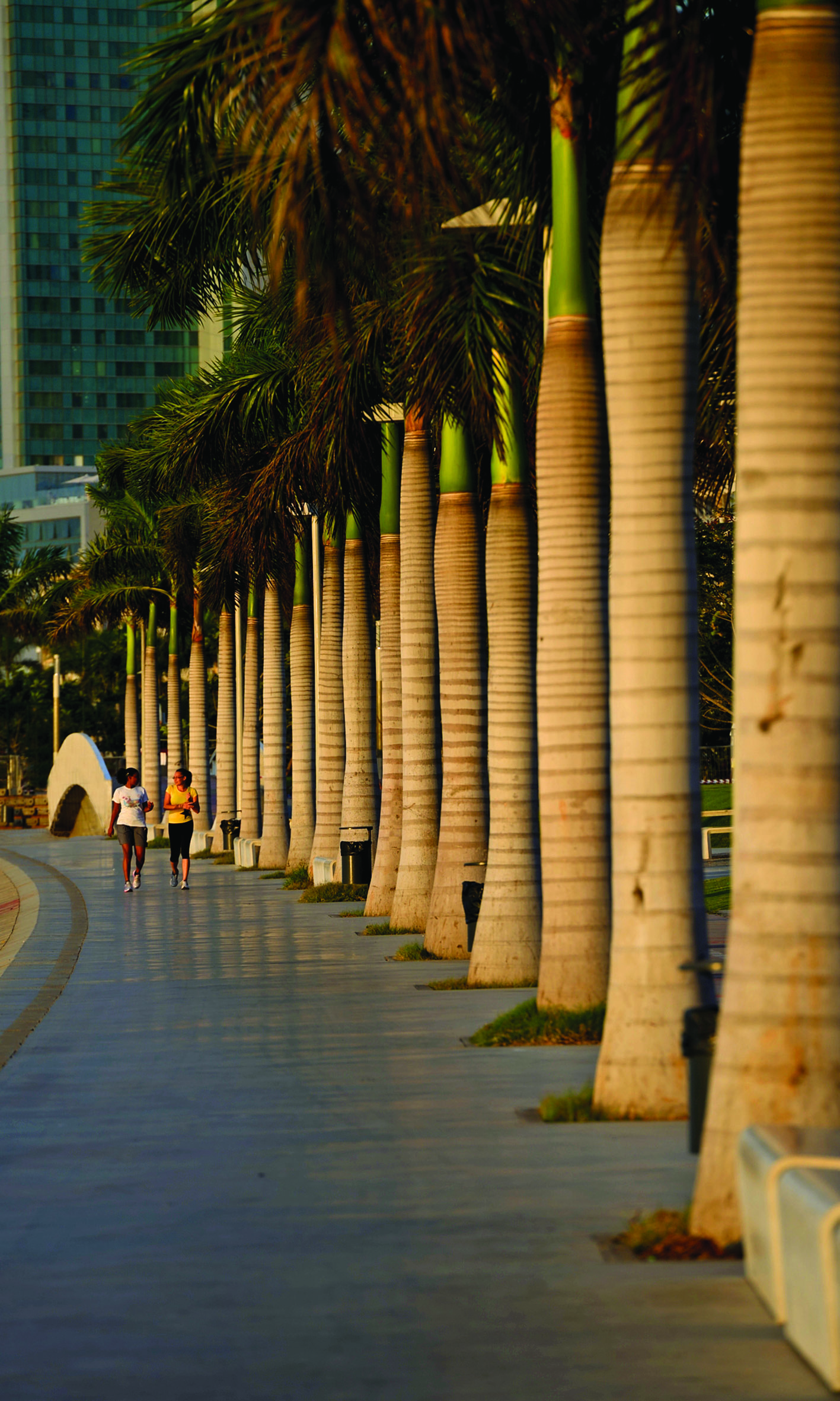 Baía De Luanda - Landscape
