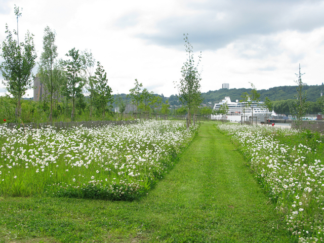 Presqu'ile Rollet - Landscape