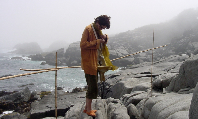 Punta Pite , Zapallar - Landscape